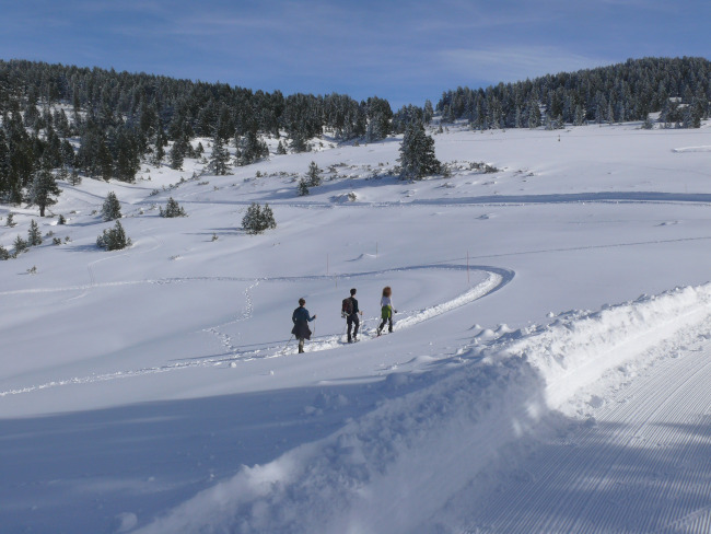 Plateau de Beille - Station de ski dans les Pyrénées - Grizette